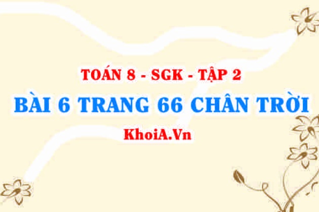 Bài 6 trang 66 Toán 8 Chân trời sáng tạo Tập 2